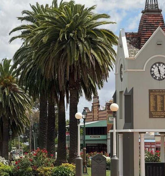 Junee News, Views, Weather & More | The Junee Bulletin