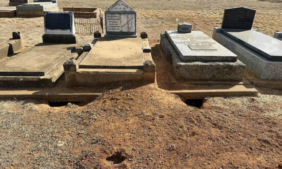 Rabbits burrow through burial grounds as infestation explodes