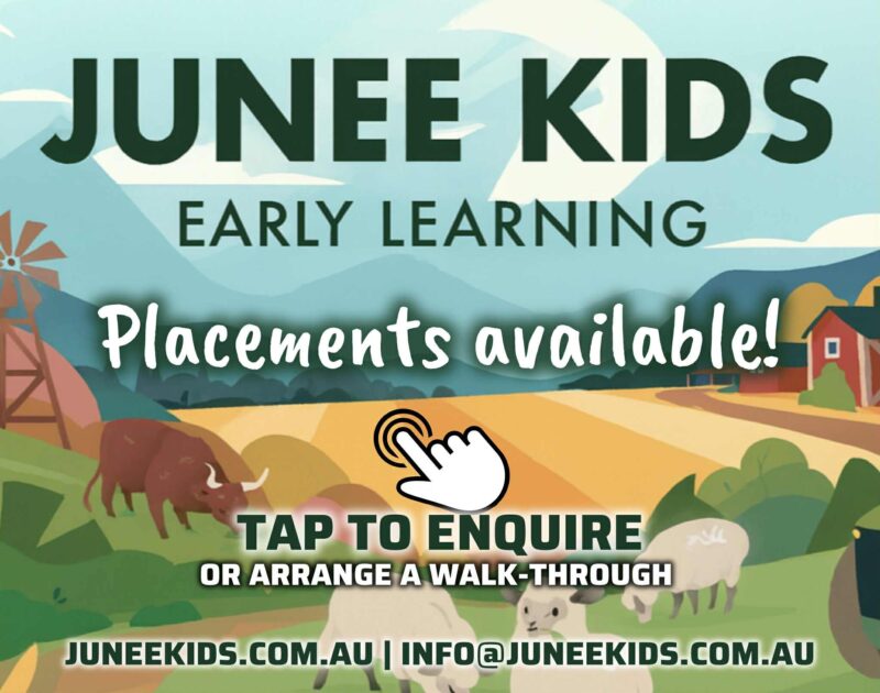 Inland Rail unveils long-awaited designs for Wagga bridges