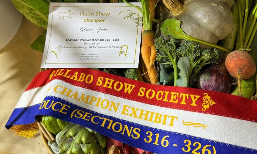 'Lack of Volunteers': Illabo Show as we know it to end