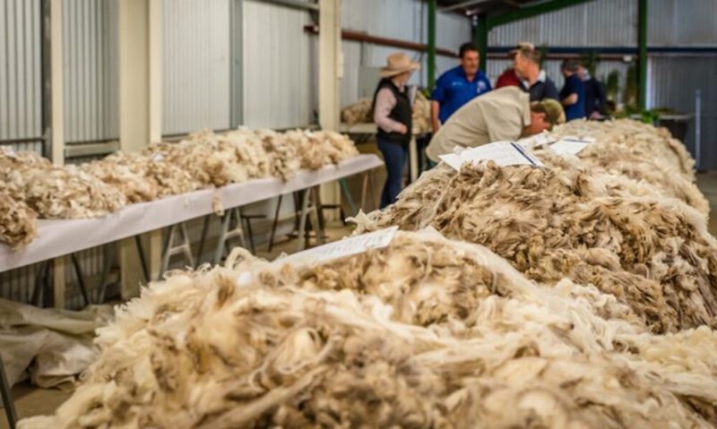 'Lack of Volunteers': Illabo Show as we know it to end