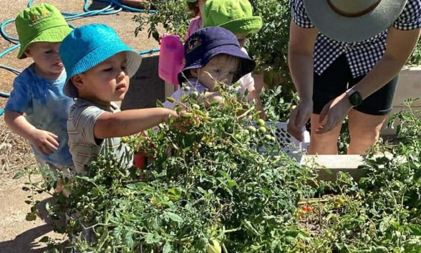 Nature First: Junee Kids leads the way with outdoor learning