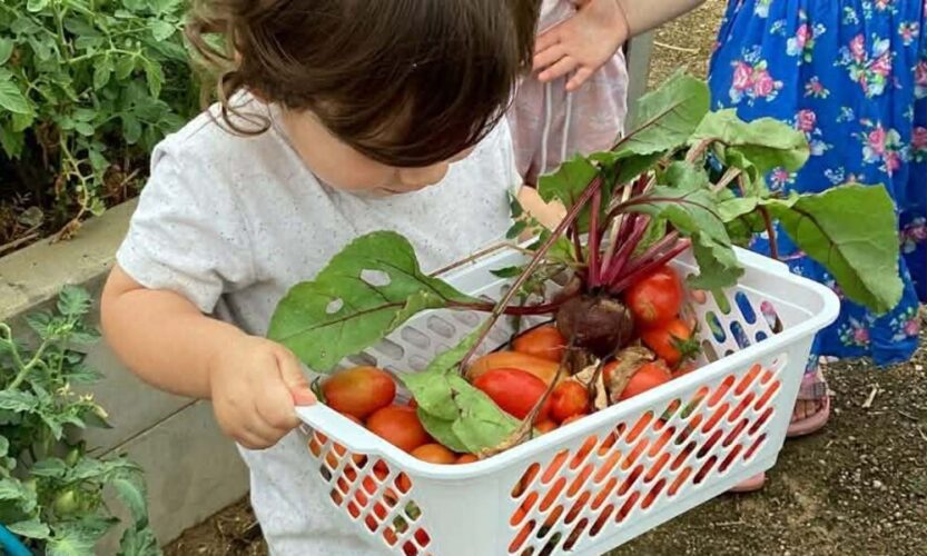 Nature First: Junee Kids leads the way with outdoor learning