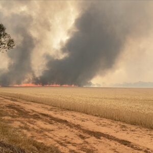 Junee News, Views, Weather & More | The Junee Bulletin