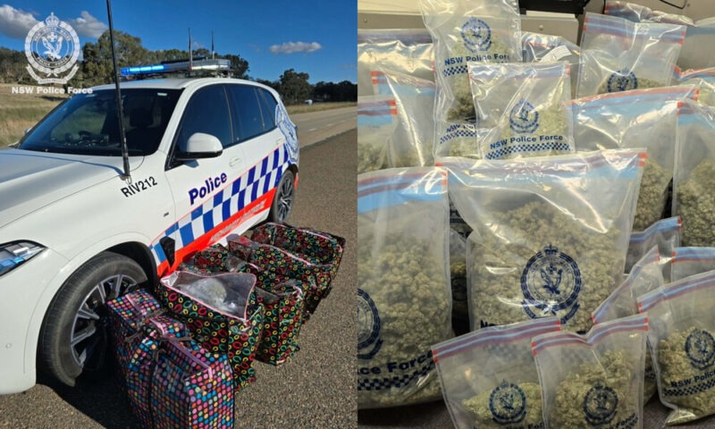 54kg of cannabis seized during Riverina traffic stop