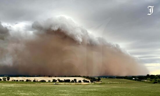 Junee News, Views, Weather & More | The Junee Bulletin